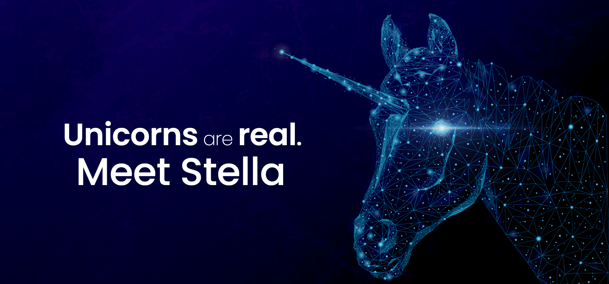 Stella Technology